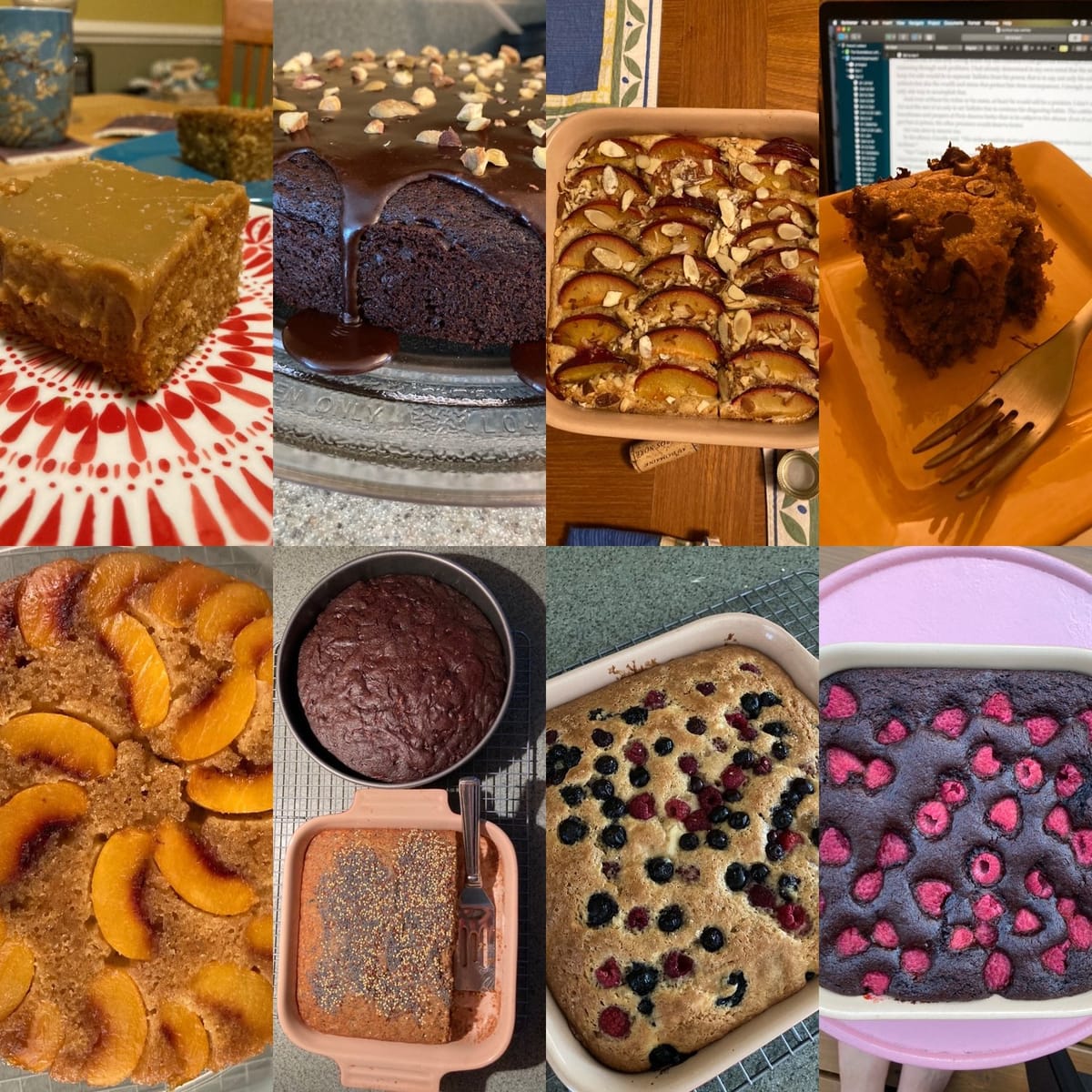 Future Cake — Felicia Davin